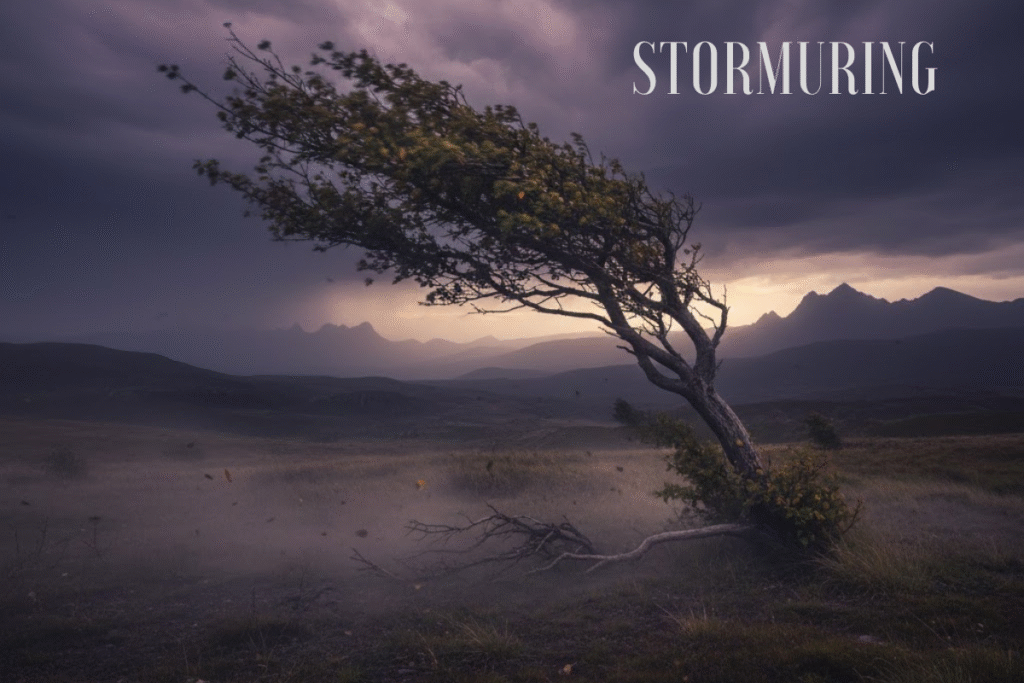 The Art of Stormuring: Techniques and Tips for Beginners